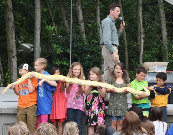 The Reptile Man wows them at the Kids Club | SLIDESHOW | Courier-Herald
