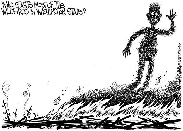 Who starts wildfires? | Editorial Cartoon by Frank Shiers, Jr ...