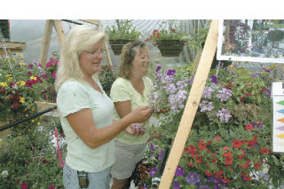 Dream growing in Buckley | Courier-Herald