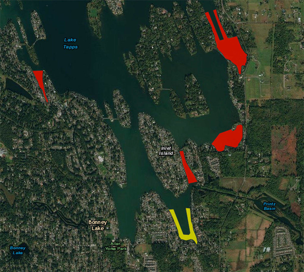 Lake Tapps milfoil treatment scheduled for week of August 7 | Cascade ...