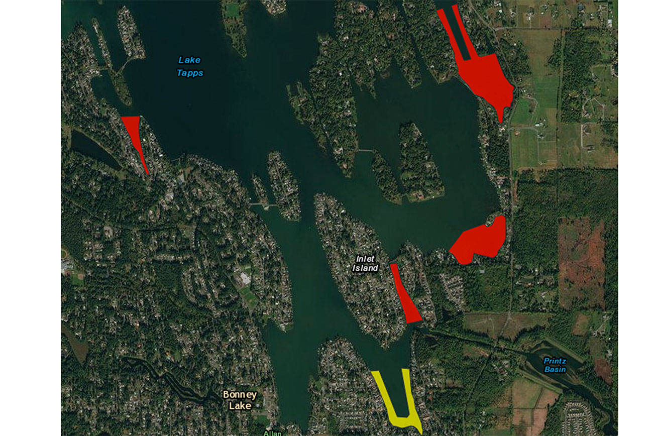 Lake Tapps milfoil treatment scheduled for week of August 7 | Cascade ...