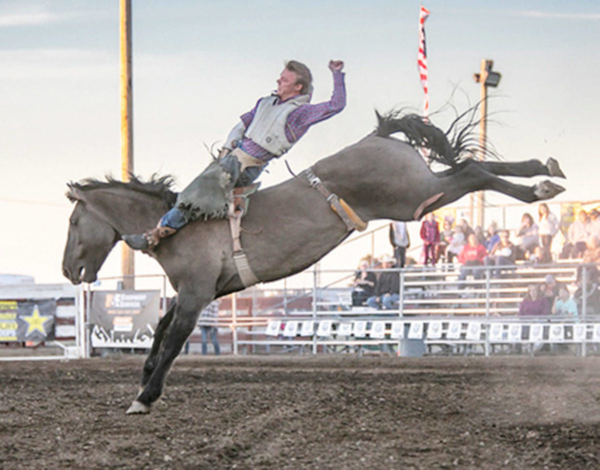 Enumclaw’s Cole Snider caps rodeo season with bareback title | Courier ...