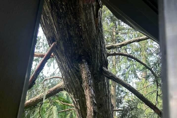 Bomb cyclone aftermath: wrecked homes, cars, but no injuries, says EFD ...