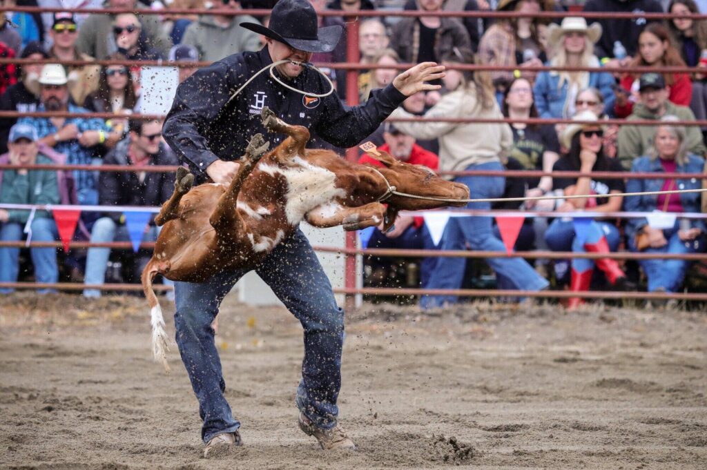Local calf roper preps for Enumclaw Pro Rodeo, aims for NPRA finals ...