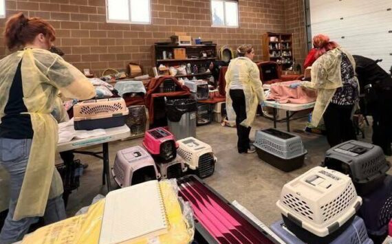 Here are the options WSDOT is exploring to potentially re-open SR 165 ...