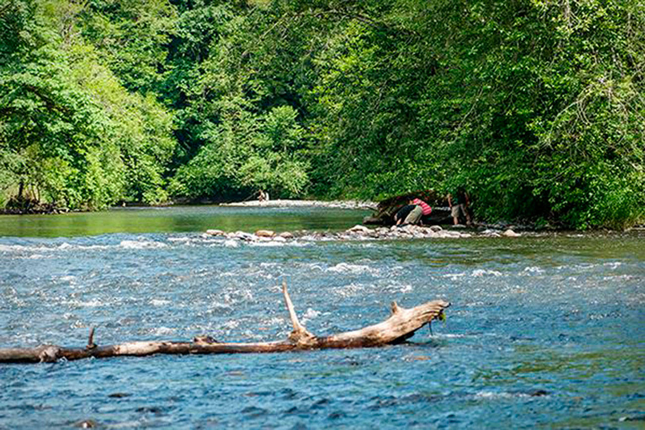 Next free state park days are June 11, June 12 and June 19 | Washington ...