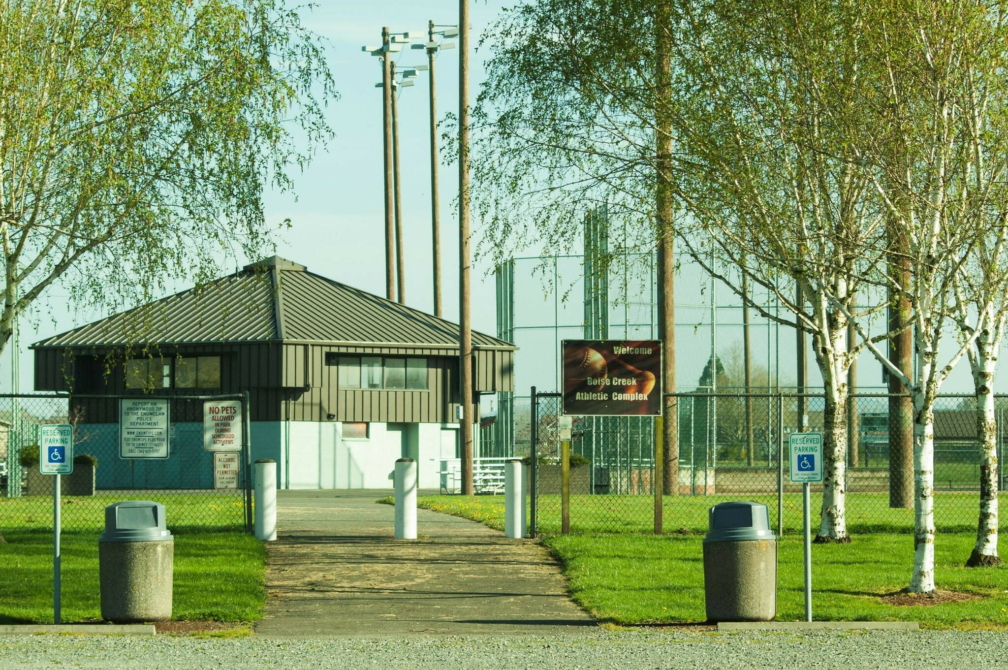 Enumclaw to seek grant to light baseball fields | Courier-Herald