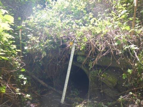 WSDOT to share SR 169 fish culvert replacement details | Courier-Herald